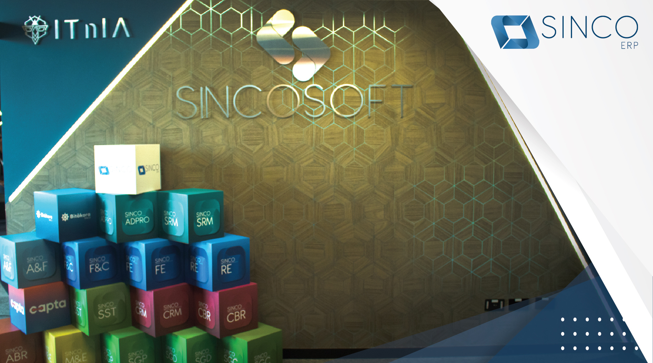 Despedimos el 2024 con gratitud y esperanza para un 2025 extraordinario